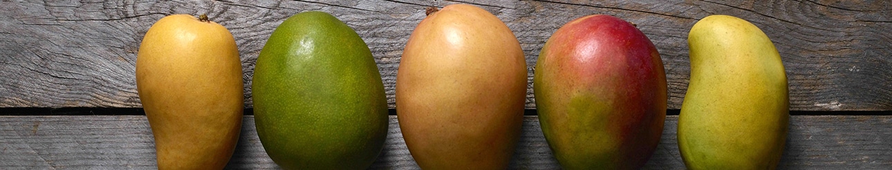 Mango Mania - HRmango